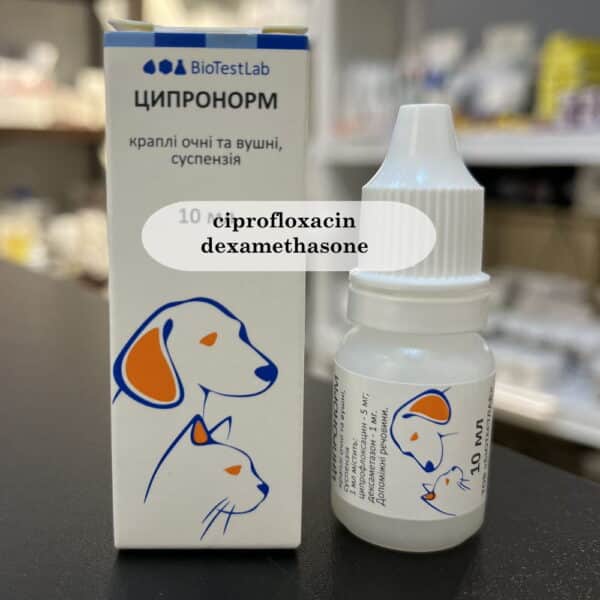 Dexamethasone | For dogs, cats, cattle, horses, pigs | HomeLab Veterinary